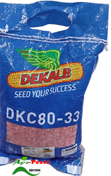 Dekalb DKC 80-33 (DK 8033) Maize 2Kg - Agropests