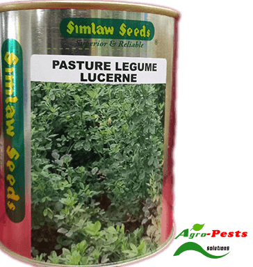 Pasture legume lucerne 1kg - Agropests