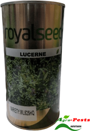Lucerne Alfafa Royal 500g - Agropests