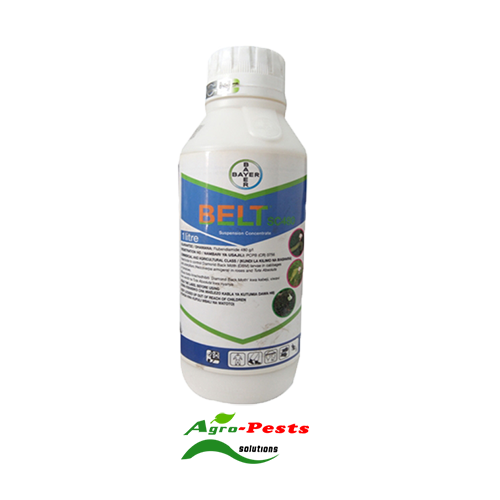 Belt SC 480 50ML - Agropests