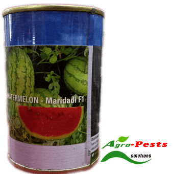 Maridadi F1 Watermelon 500g - Agropests